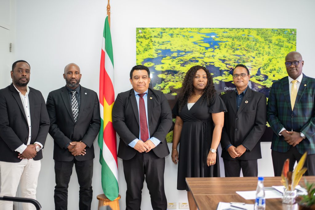 Official launch SUR-IX - Datasur